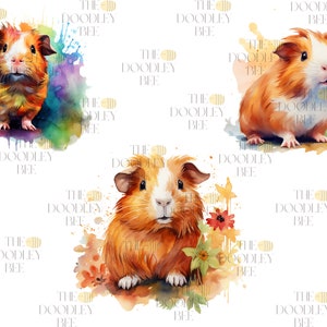 Digital Download 16 Cute Guinea Pig Clip Art Collection: High Quality ...