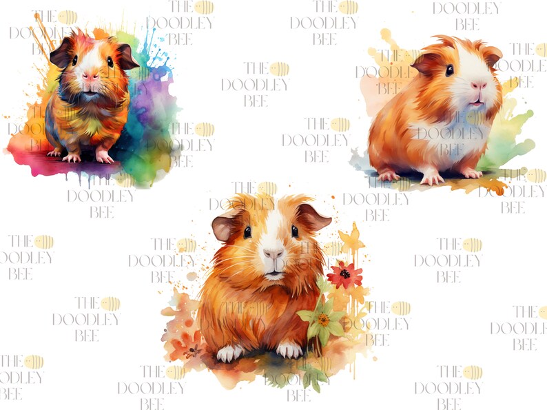 Digital Download 16 Cute Guinea Pig Clip Art Collection: High Quality ...