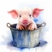 24 Baby Pig Watercolor Clipart PNG Bundle , Commercial Use, Digital ...
