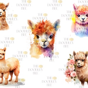20 Cute Alpaca Watercolor PNG Clipart Bundle, Commercial Use, Digital ...