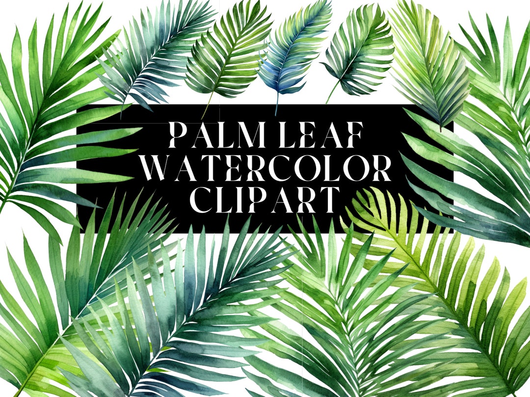 22 Watercolor Palm Leaf Clipart Bundle for Commercial Use - Instant ...