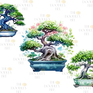 Watercolor Bonsai 12pc PNG, Bonsai PNG, Japanese Bonsai PNG, Bonsai ...