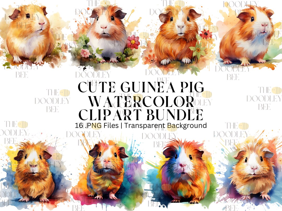 16 Cute Guinea Pig Clip Art Collection: High Quality Images for Digital ...