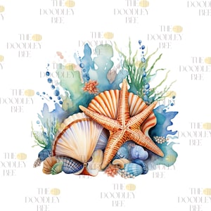 Watercolor Seashell Clipart, Beach Clipart, Nautical Clipart Bundle ...