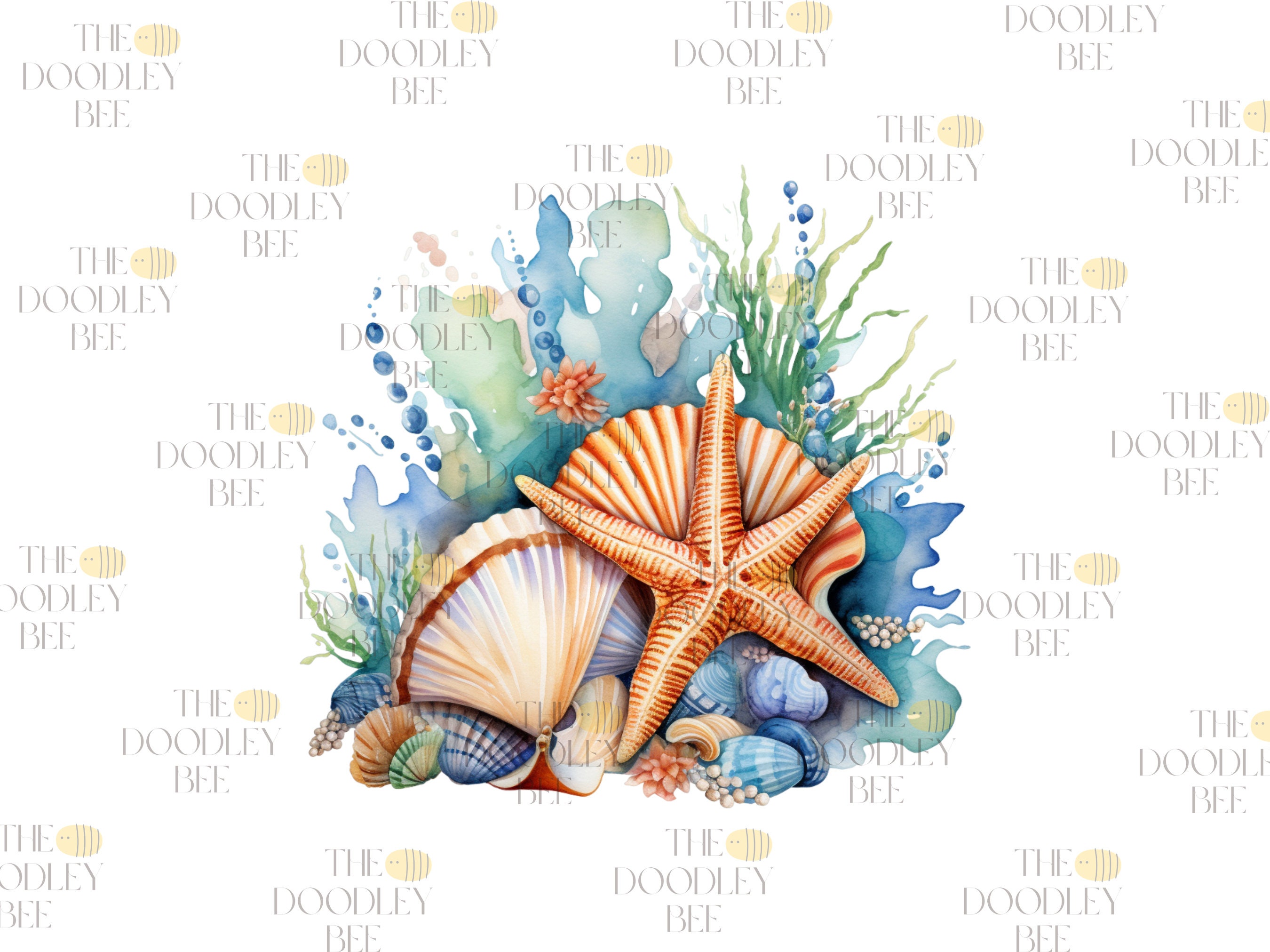 Watercolor Seashell Clipart, Beach Clipart, Nautical Clipart Bundle ...