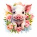 24 Baby Pig Watercolor Clipart PNG Bundle , Commercial Use, Digital ...