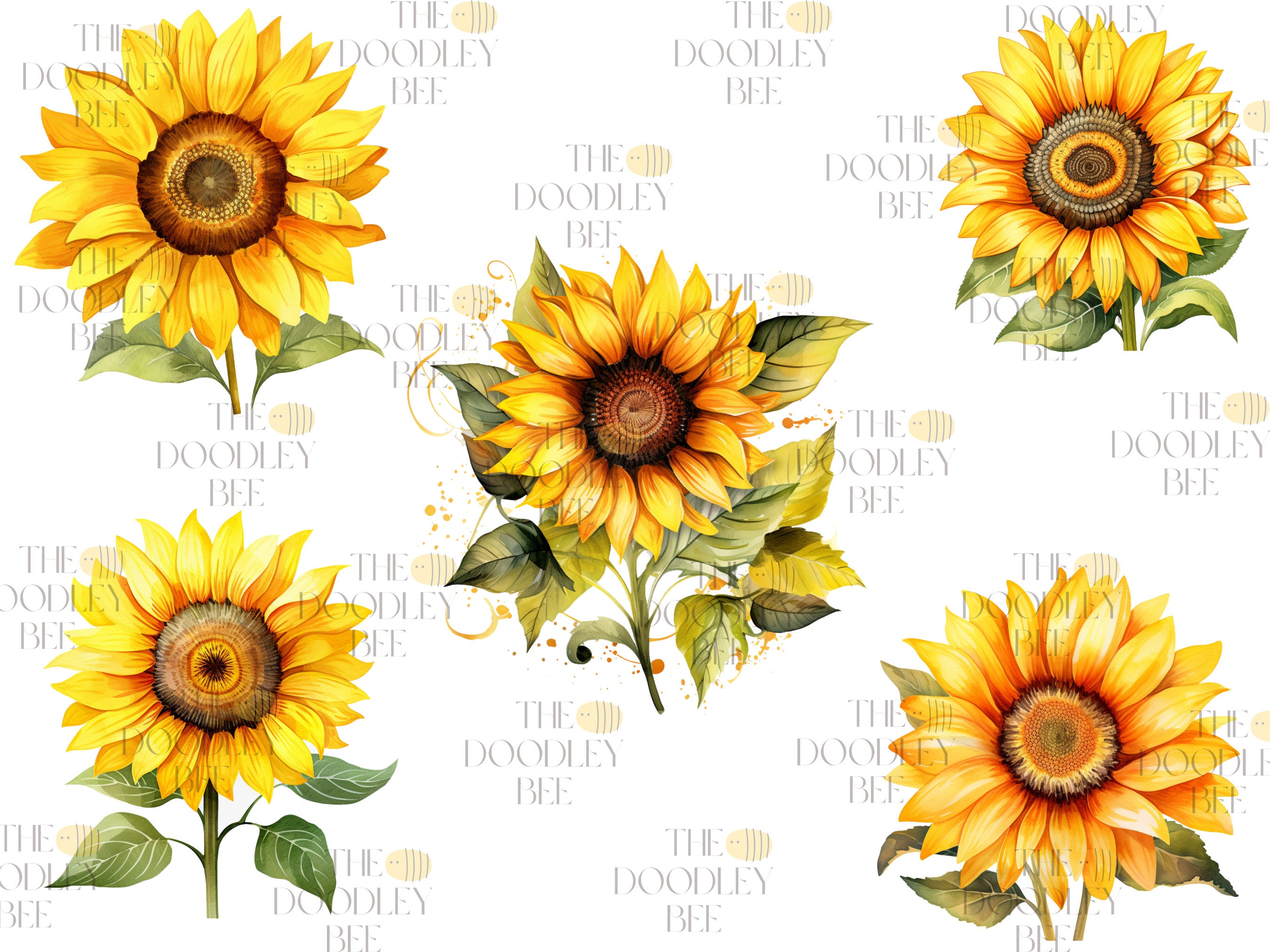 12 PNG Watercolor Sunflower Clipart Bundle Sunflower Clipart Boho ...