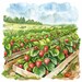 12 Strawberry Graphics Bundle, Strawberry Png Clipart, Trending Png ...