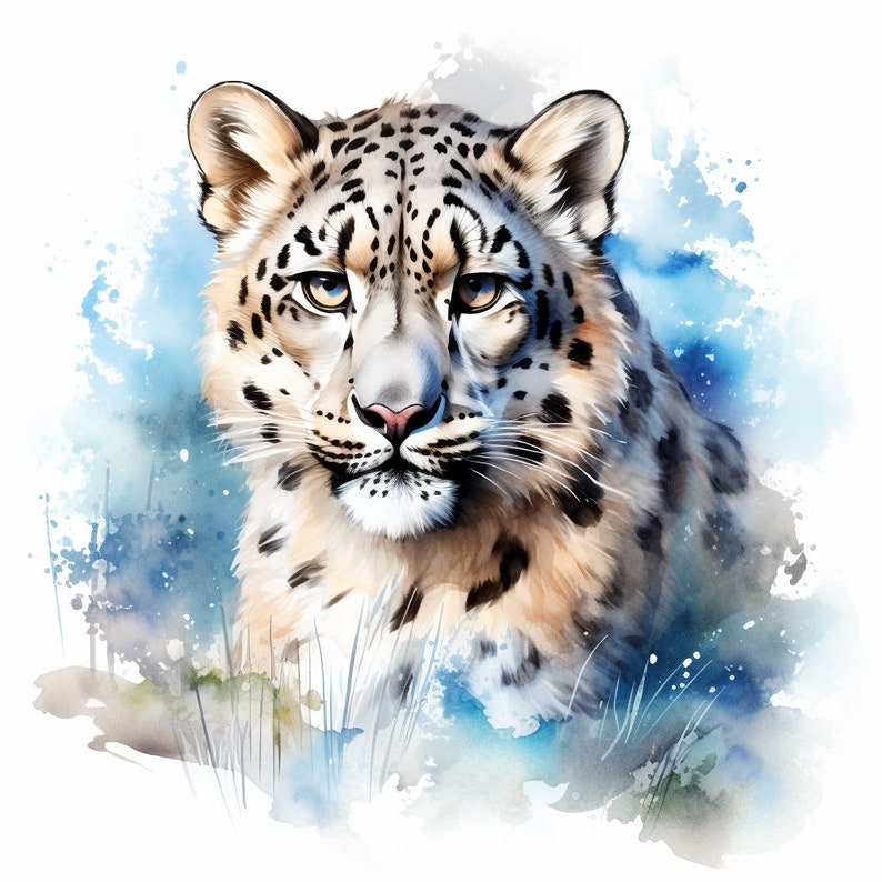 Snow Leopard Clipart, 12 High Quality PNG, Nursery Art, Instant Digital ...