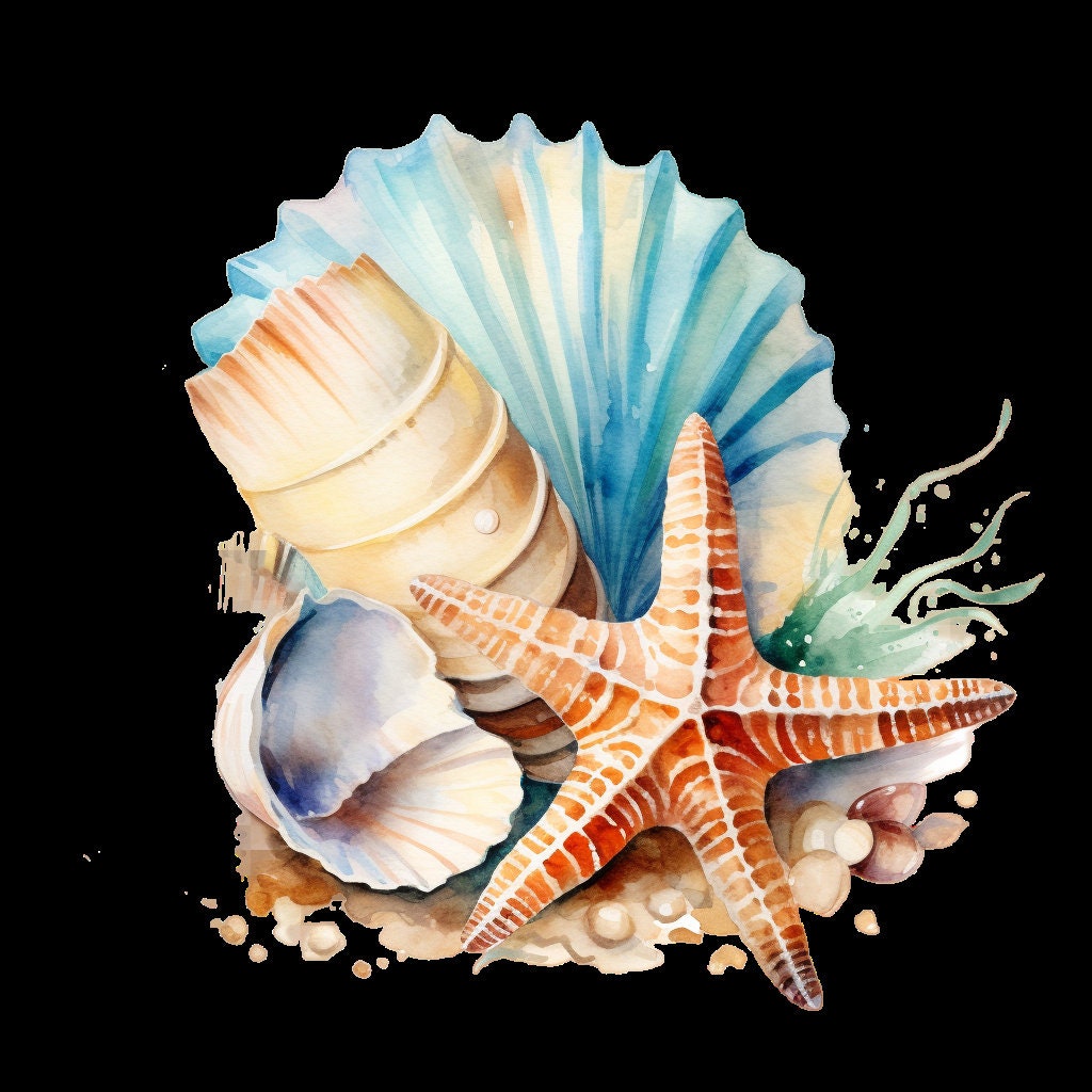 Watercolor Seashell Clipart, 10 Beach Clipart, Nautical Clipart, Ocean ...
