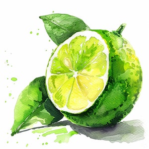 Watercolor Green Lemon Clipart, 12 High Quality Pngs, Digital Download ...
