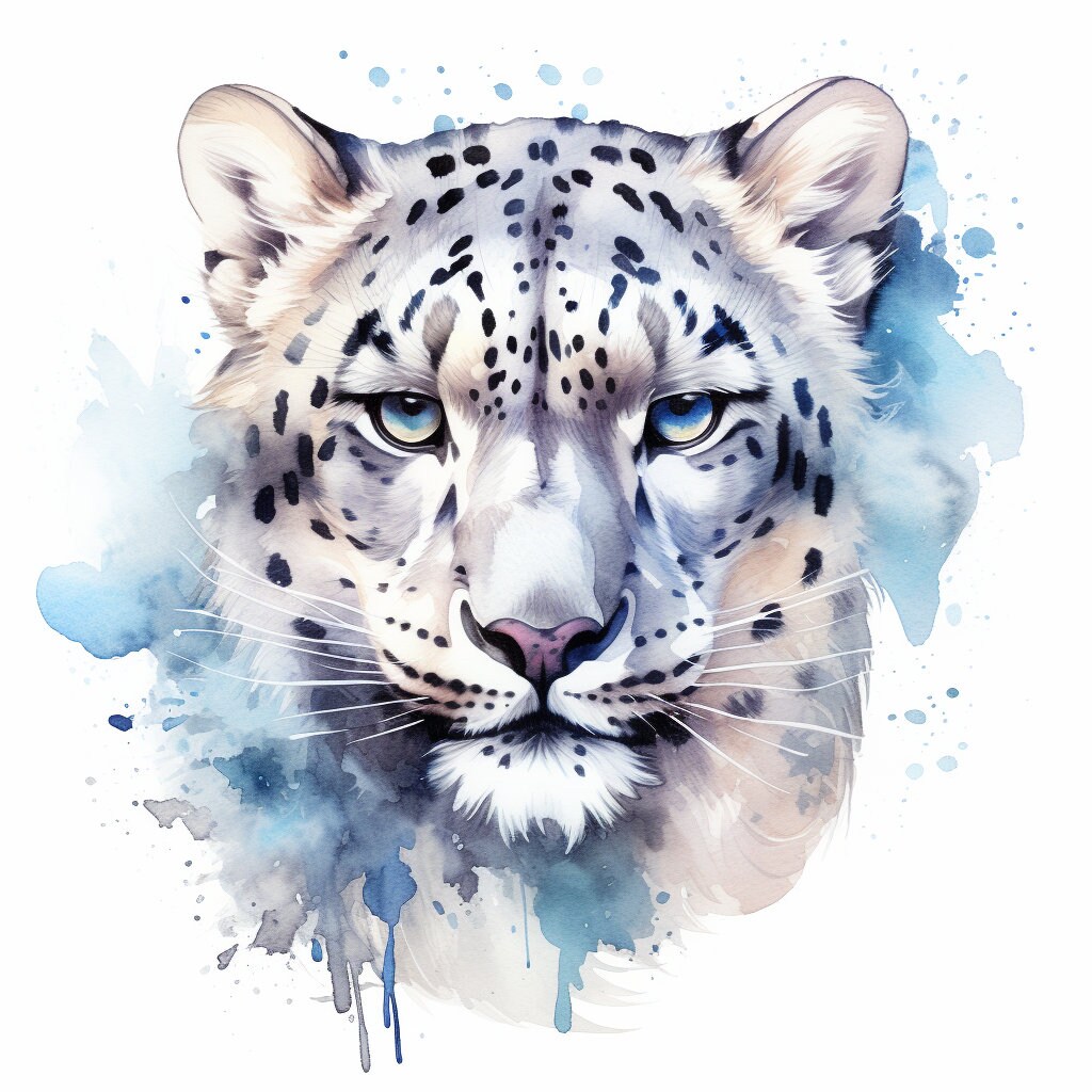 Snow Leopard Clipart, 12 High Quality PNG, Nursery Art, Instant Digital ...