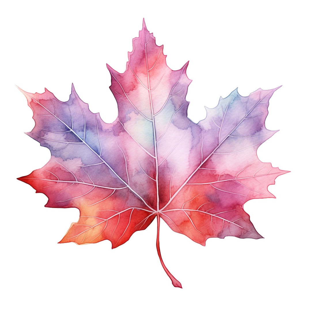24 Watercolor Maple Leaf Clipart Bundle for Commercial Use - Instant ...