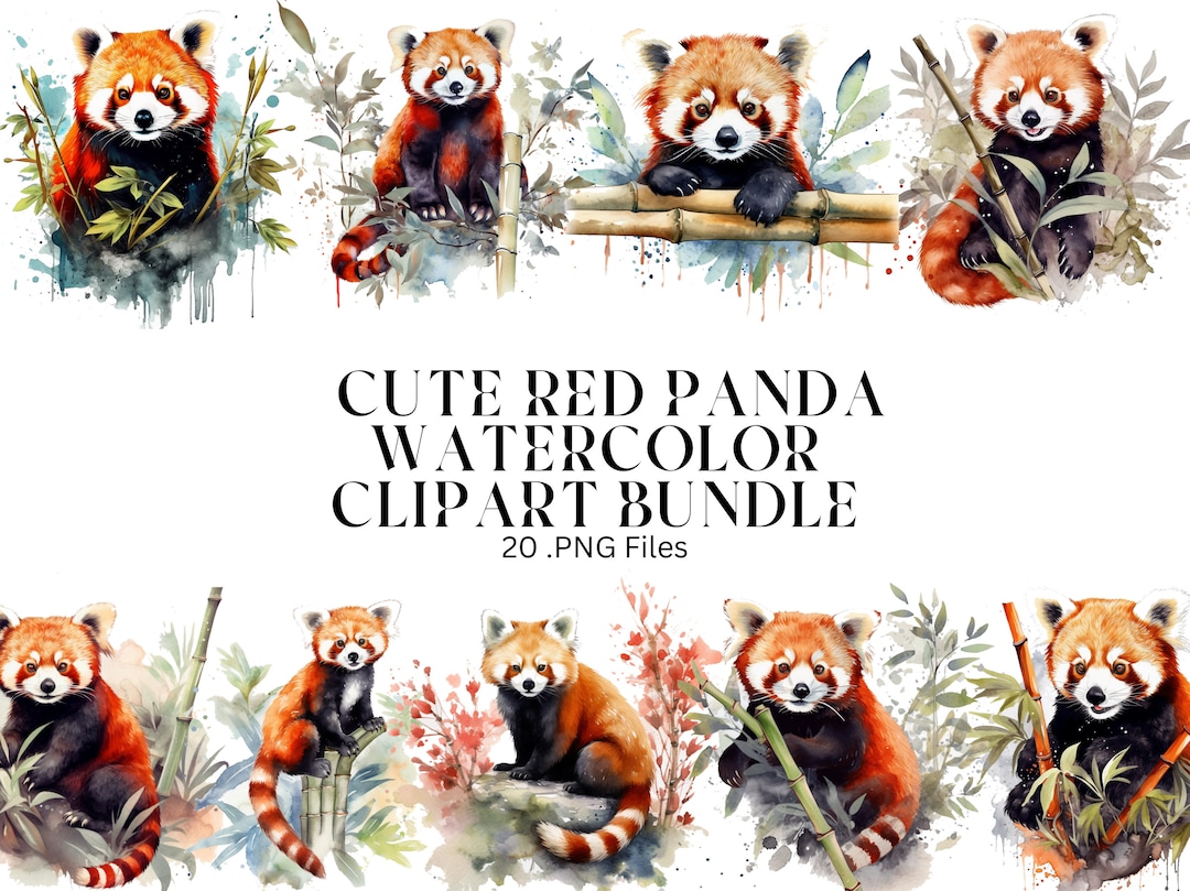 20 Cute Red Panda Watercolor Clipart PNG Bundle, Commercial Use ...