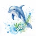 12 Watercolor Dolphins Clipart Bundle, Digital Download, Digital Paper ...