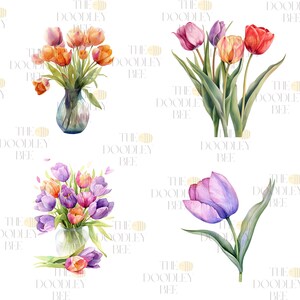 Watercolor Spring Tulip Collection Clipart, 19 PNG Flowers Clipart ...