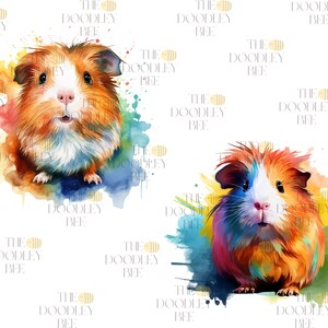 Digital Download 16 Cute Guinea Pig Clip Art Collection: High Quality ...