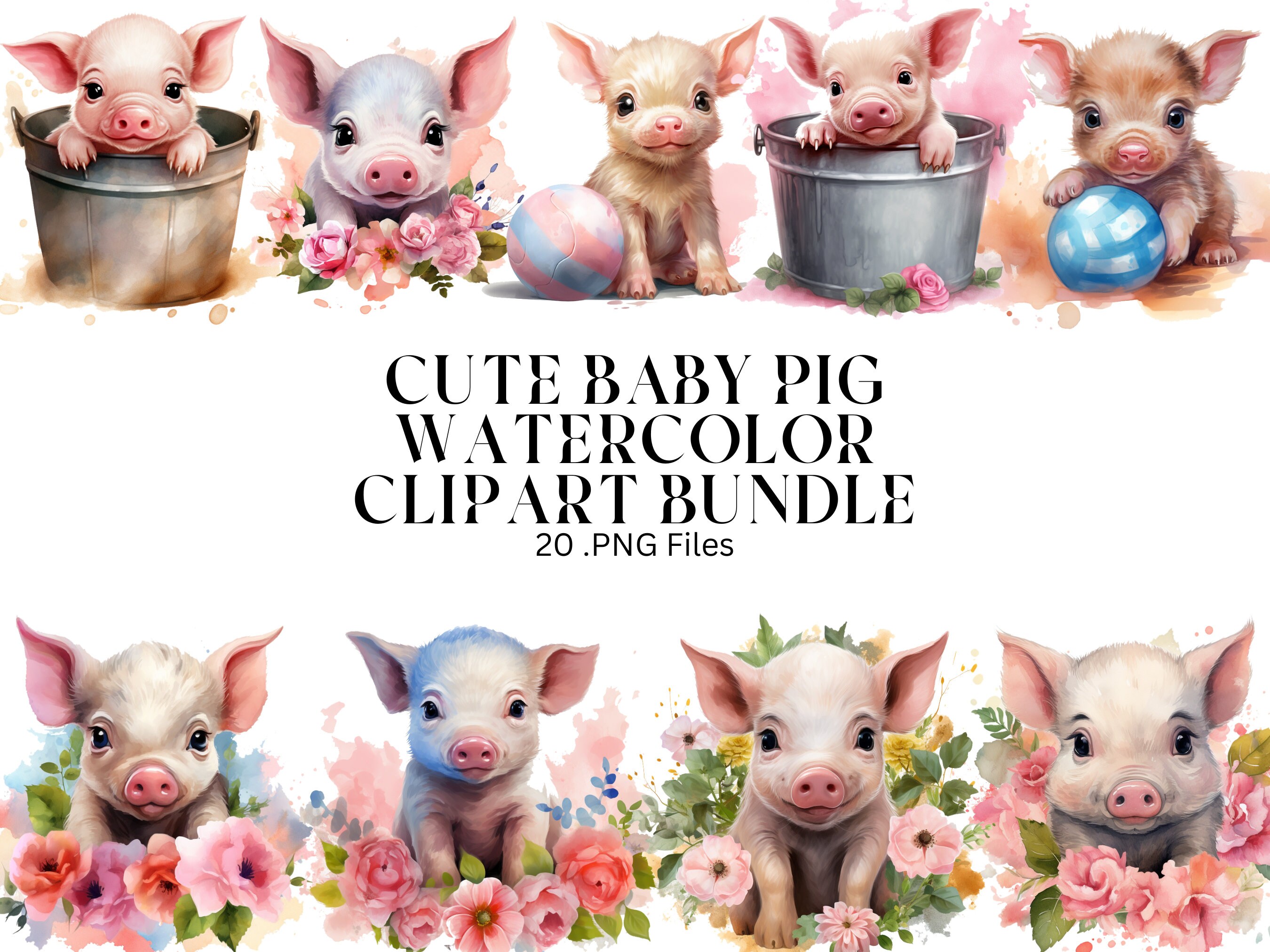 24 Baby Pig Watercolor Clipart PNG Bundle , Commercial Use, Digital ...