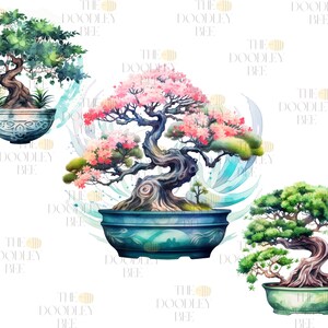 Watercolor Bonsai 12pc PNG, Bonsai PNG, Japanese Bonsai PNG, Bonsai ...