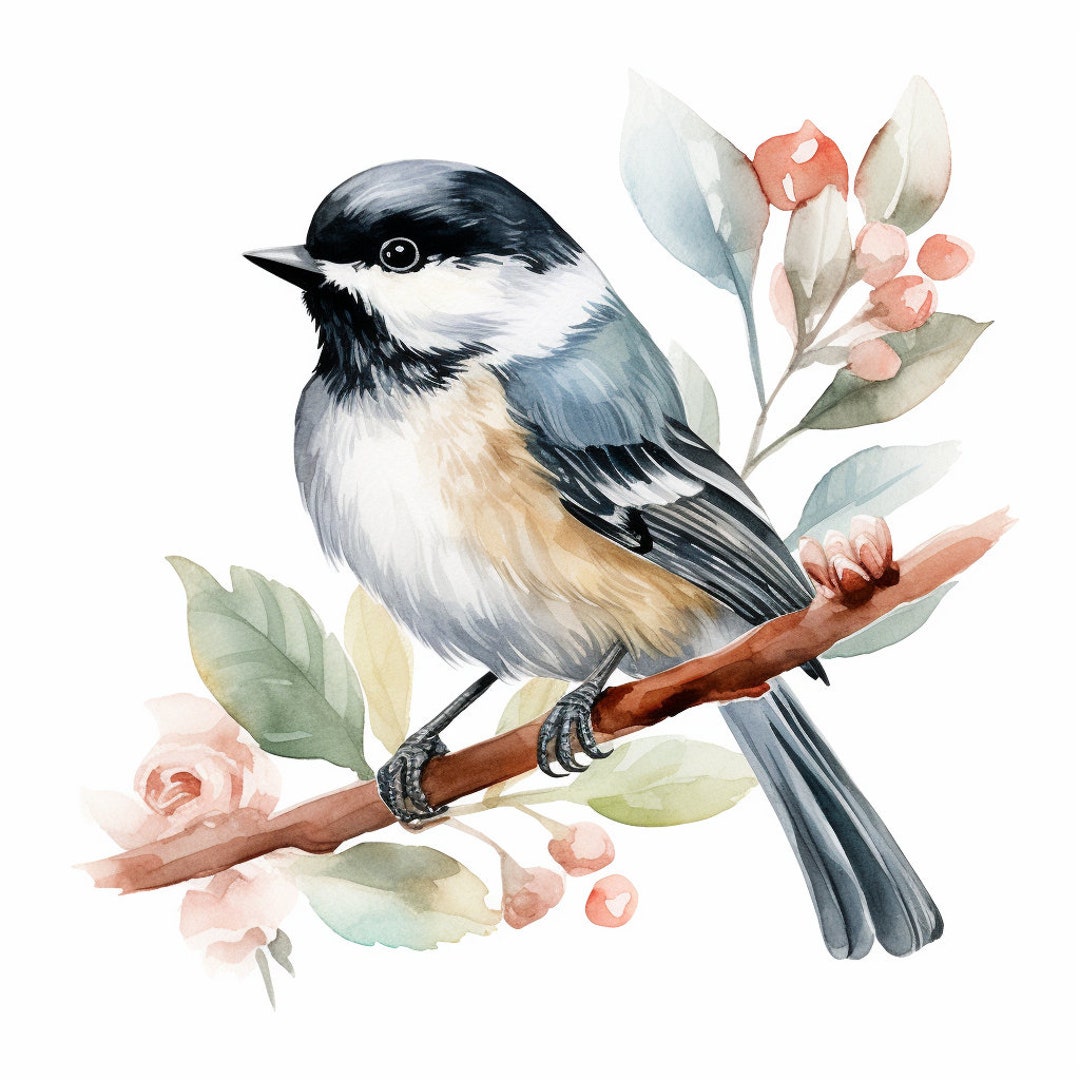 12 Chickadee Clipart, High Quality Jpgs, Nursery Art, Digital Download ...