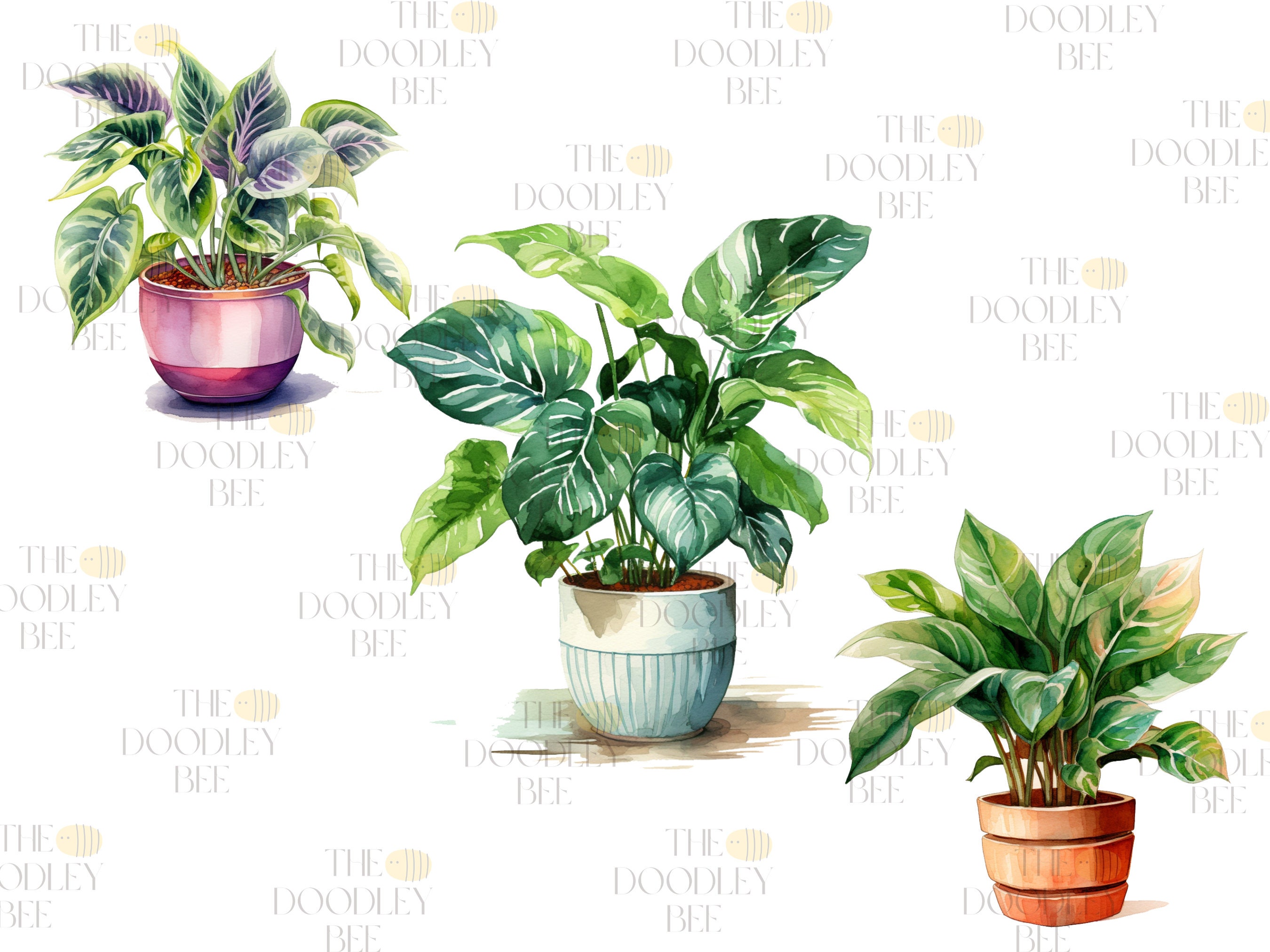 Watercolor House Plants Clipart Bundle House and Garden - Etsy