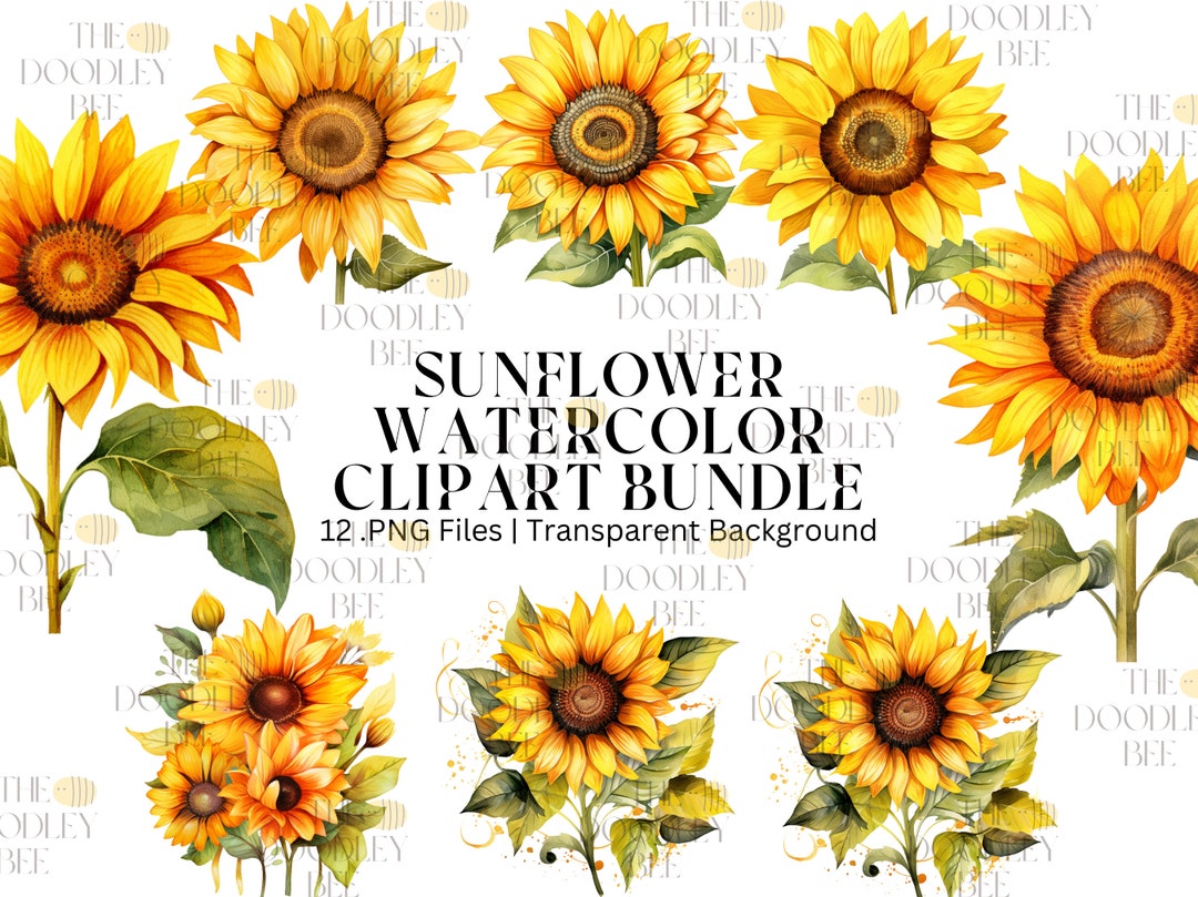 12 PNG Watercolor Sunflower Clipart Bundle | Sunflower Clipart | Boho ...