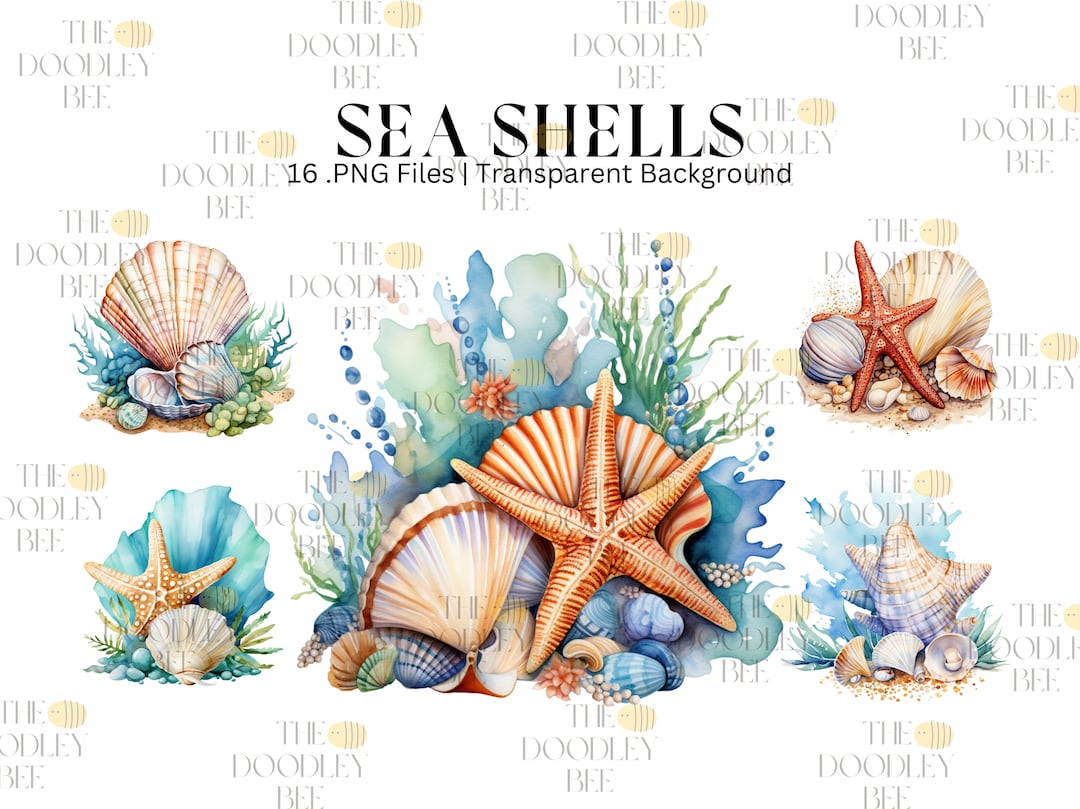 Watercolor Seashell Clipart, Beach Clipart, Nautical Clipart Bundle ...
