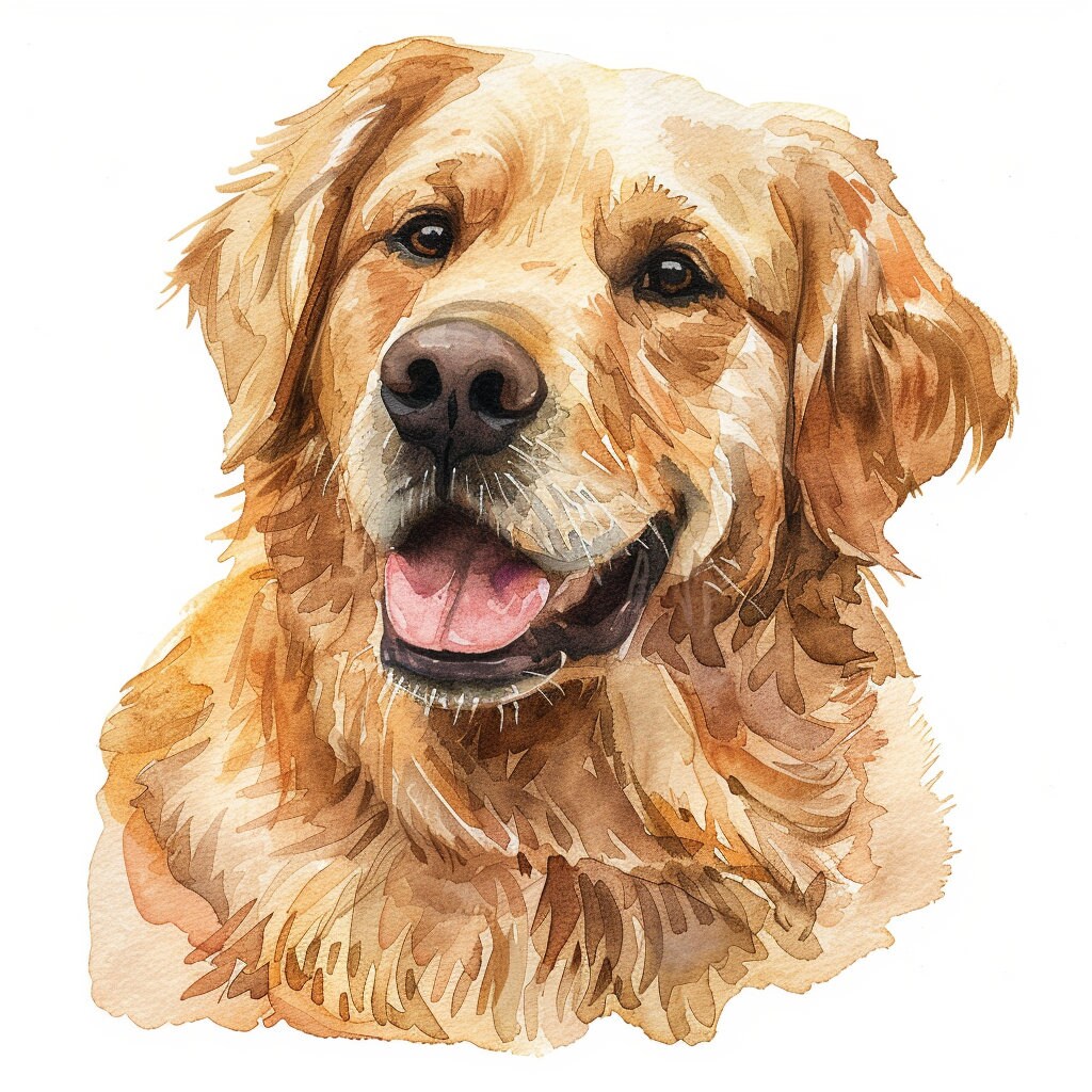 Watercolor Golden Retriever Clipart, 12 High Quality Pngs, Digital ...