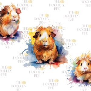 Digital Download 16 Cute Guinea Pig Clip Art Collection: High Quality ...