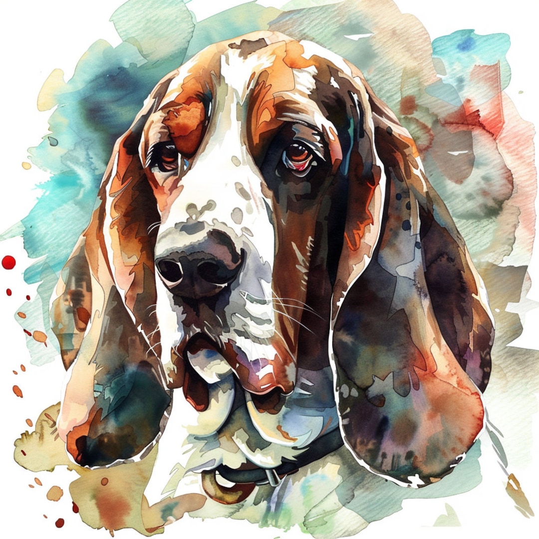 Watercolor Basset Hound Clipart, 12 High Quality Pngs, Nursery, Digital ...