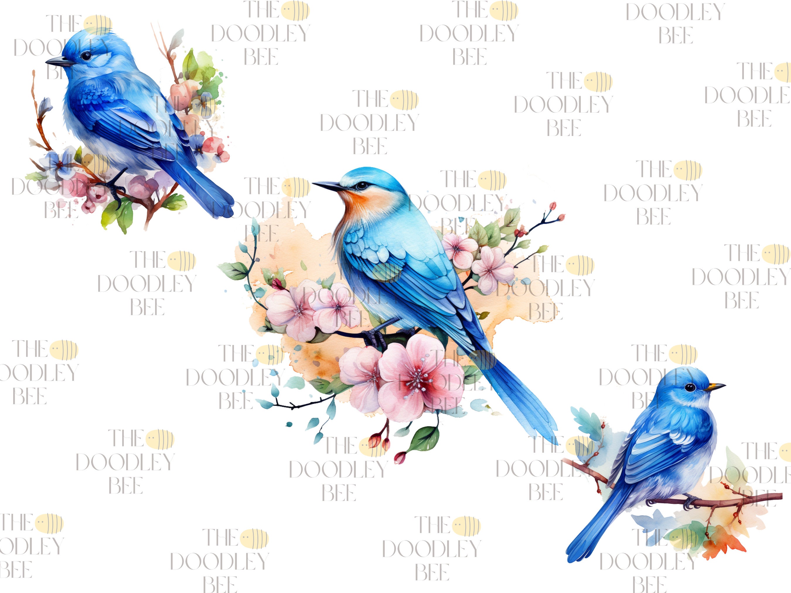 Watercolor Blue Bird Clipart 12 Pngs Digital Download Card - Etsy