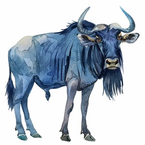 12 Blue Wildebeest Clipart, High Quality Jpgs, Instant Digital Download ...