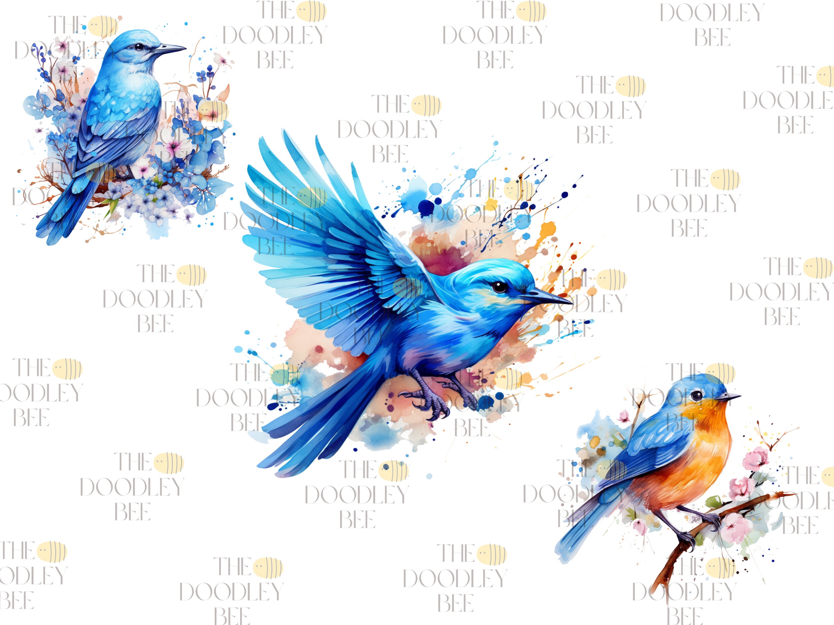 Watercolor Blue Bird Clipart 12 Pngs Digital Download Card - Etsy