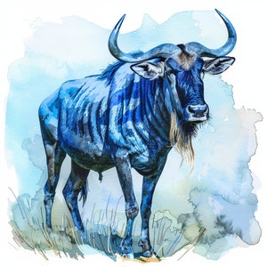 12 Blue Wildebeest Clipart, High Quality Jpgs, Instant Digital Download ...