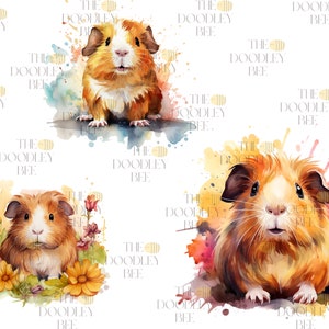 Digital Download 16 Cute Guinea Pig Clip Art Collection: High Quality ...