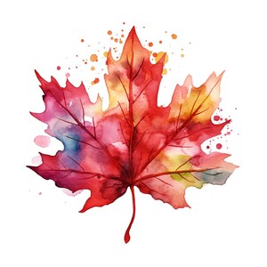 24 Watercolor Maple Leaf Clipart Bundle for Commercial Use - Instant ...