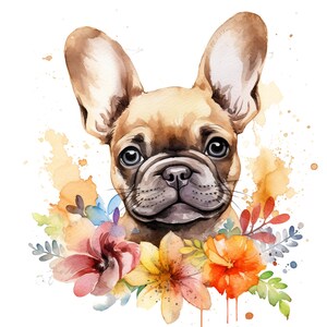 20 Watercolor French Bulldog Puppy Clipart Bundle - Instant Download ...