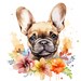 20 Watercolor French Bulldog Puppy Clipart Bundle Instant Download for ...