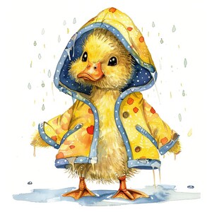Duckling in Raincoat Clipart, 12 High Quality PNG, Nursery Art | Card ...