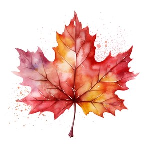 24 Watercolor Maple Leaf Clipart Bundle for Commercial Use - Instant ...