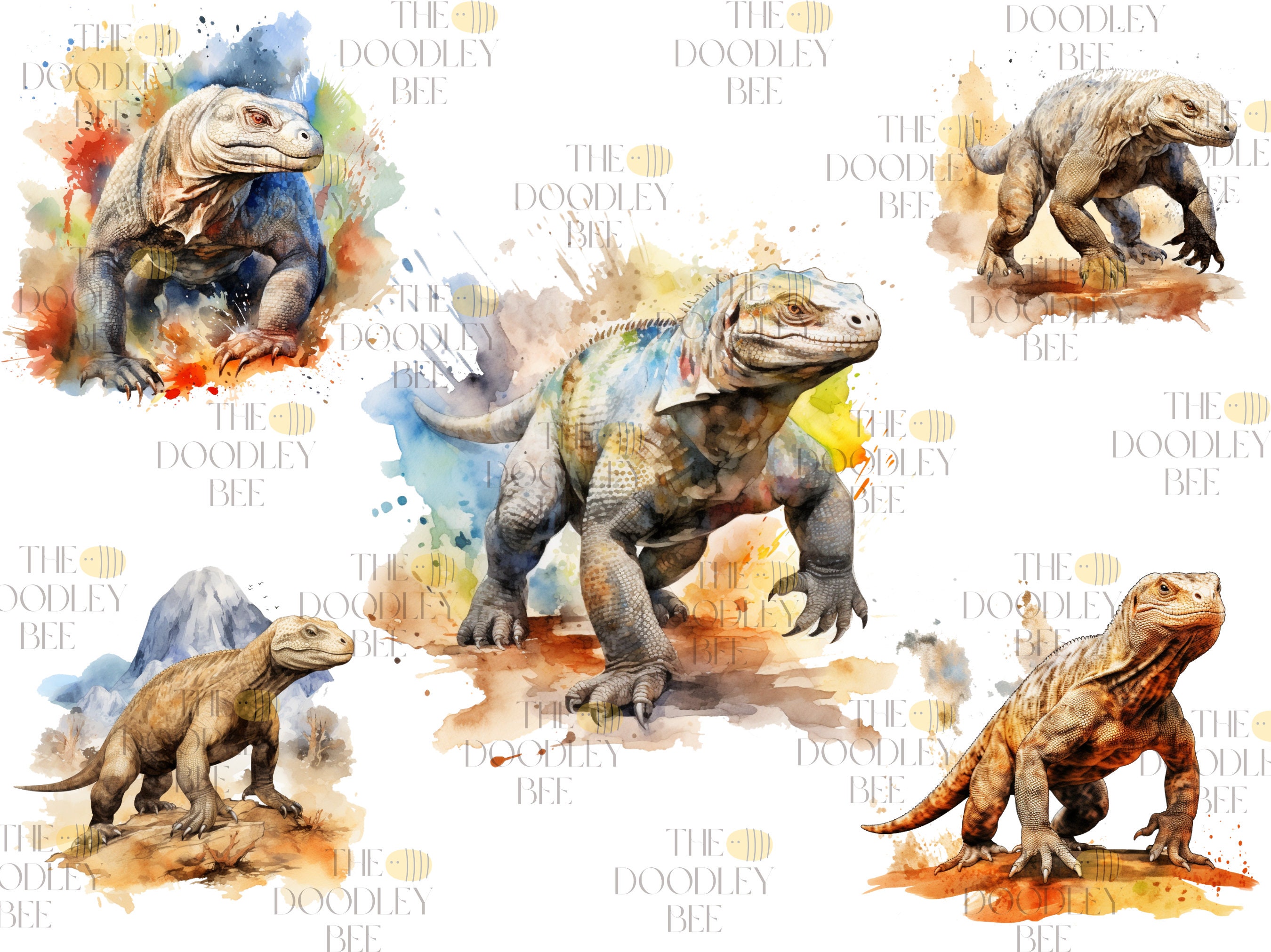 40 Komodo Dragon Watercolor Clipart PNG Bundle Commercial - Etsy UK