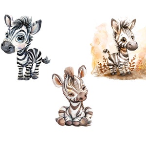 Watercolor Cute Baby Zebra Clipart, 12 High Quality Pngs, Nursery Art ...
