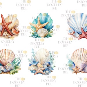Watercolor Seashell Clipart, Beach Clipart, Nautical Clipart Bundle ...