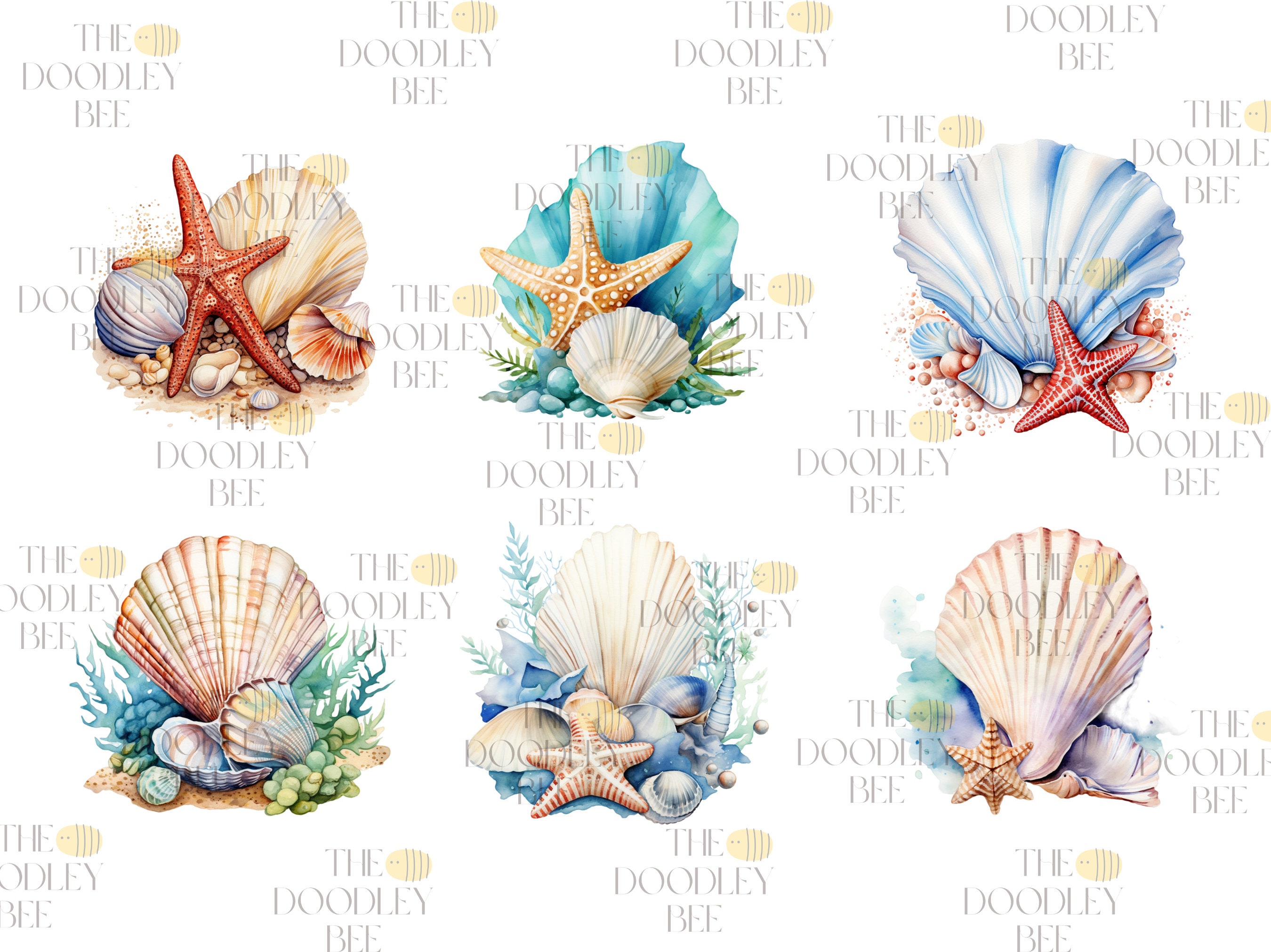 Watercolor Seashell Clipart, Beach Clipart, Nautical Clipart Bundle ...