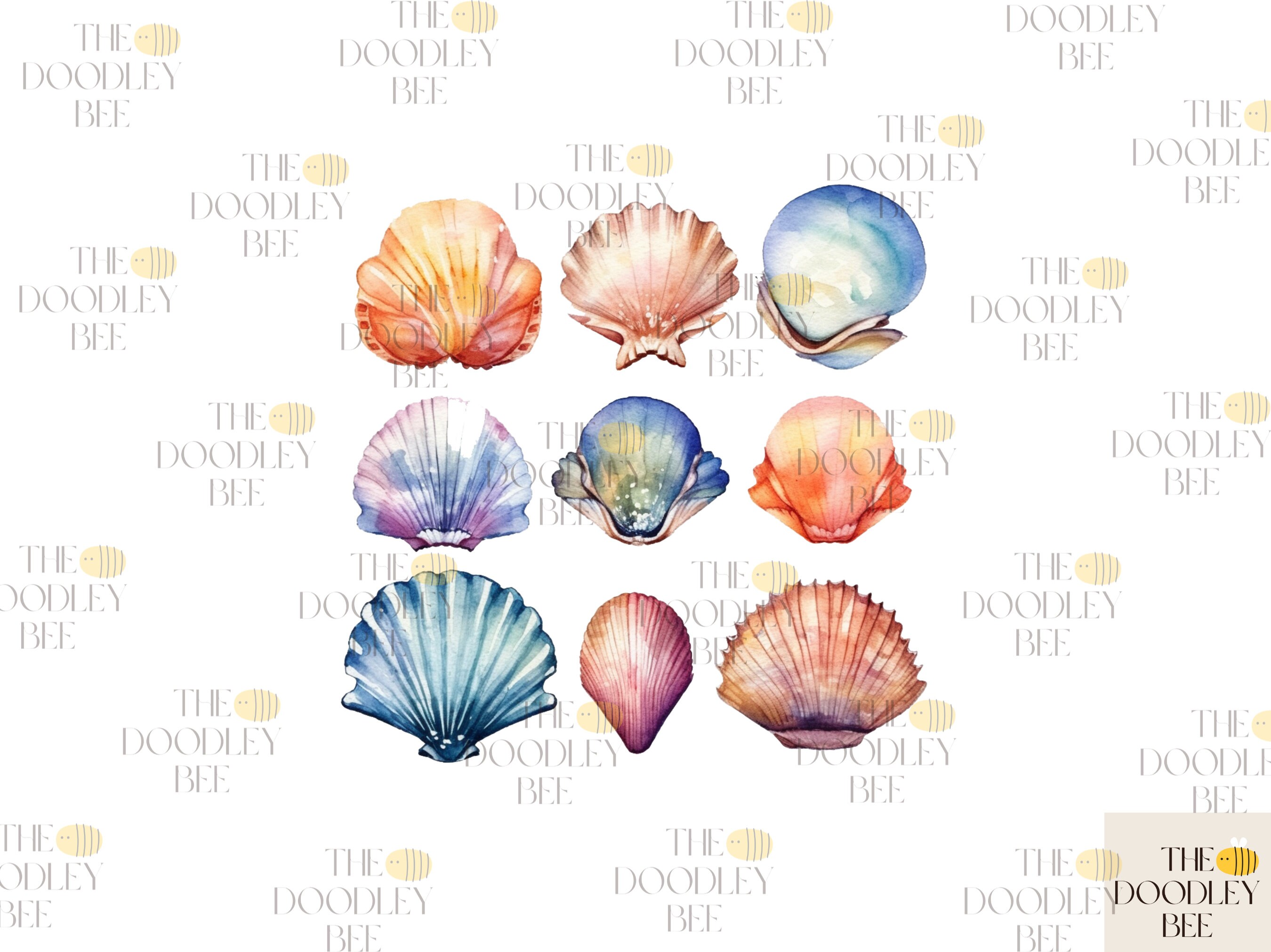 20 Watercolor Sea Shell Clipart Bundle for Commercial Use - Etsy