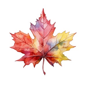 24 Watercolor Maple Leaf Clipart Bundle for Commercial Use - Instant ...