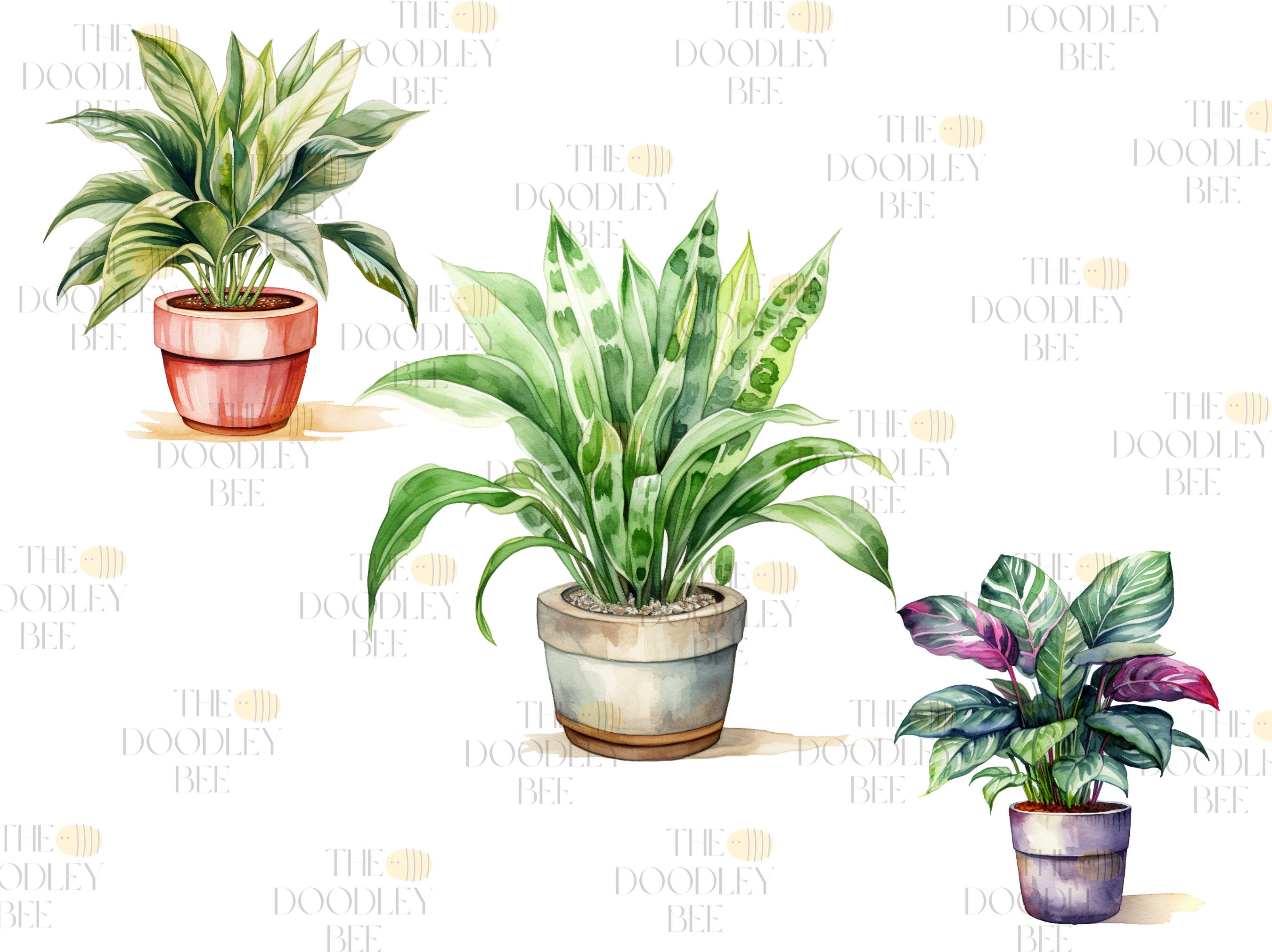 Watercolor House Plants Clipart Bundle House and Garden - Etsy