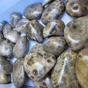 Polished Petoskey Stone: Golf Ball Size, Velvet Bag - Etsy