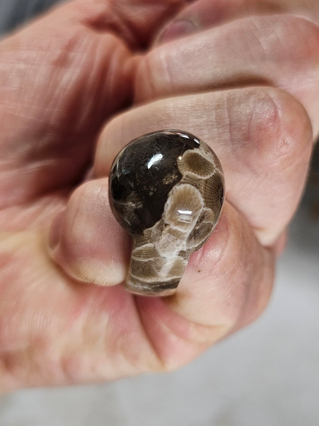 Gorgeous Petoskey Power Ranger Ring! - Etsy