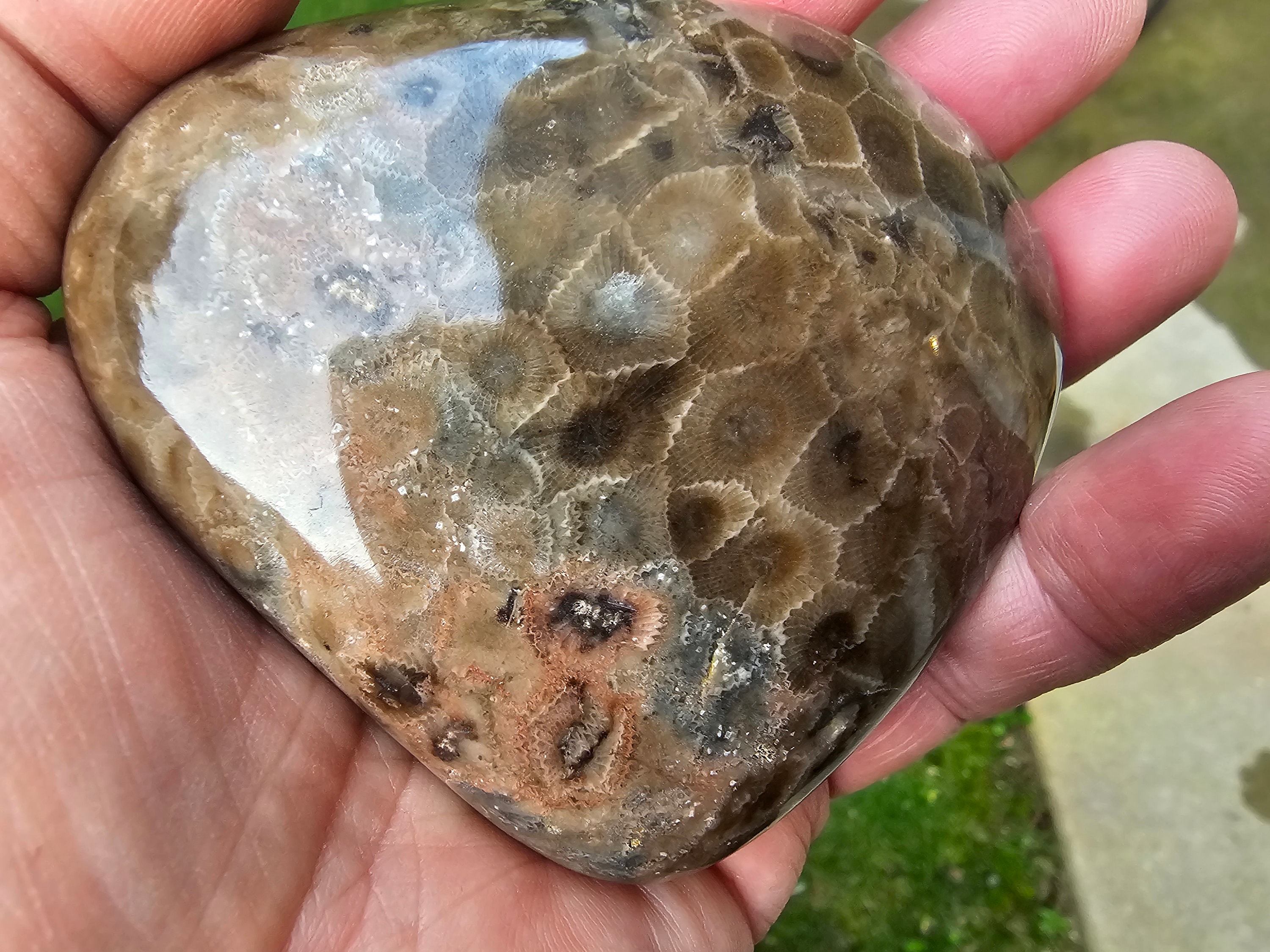 Wow Just Wow Petoskey With Tons of Pink. Big Stone, Super Nice Pattern ...